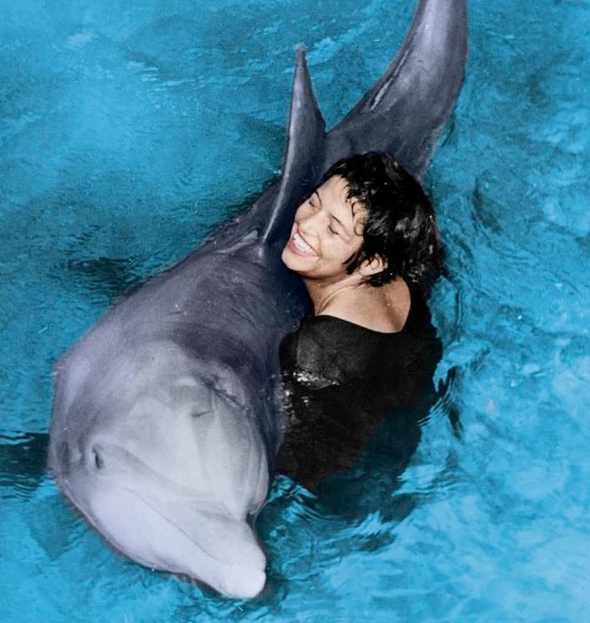 Peter the Dolphin :: The Human Exception