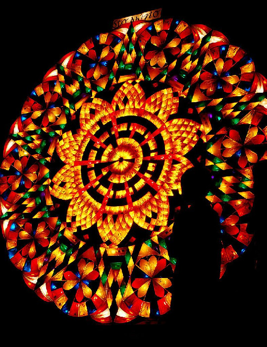 Rollerskates and Parol :: The Human Exception